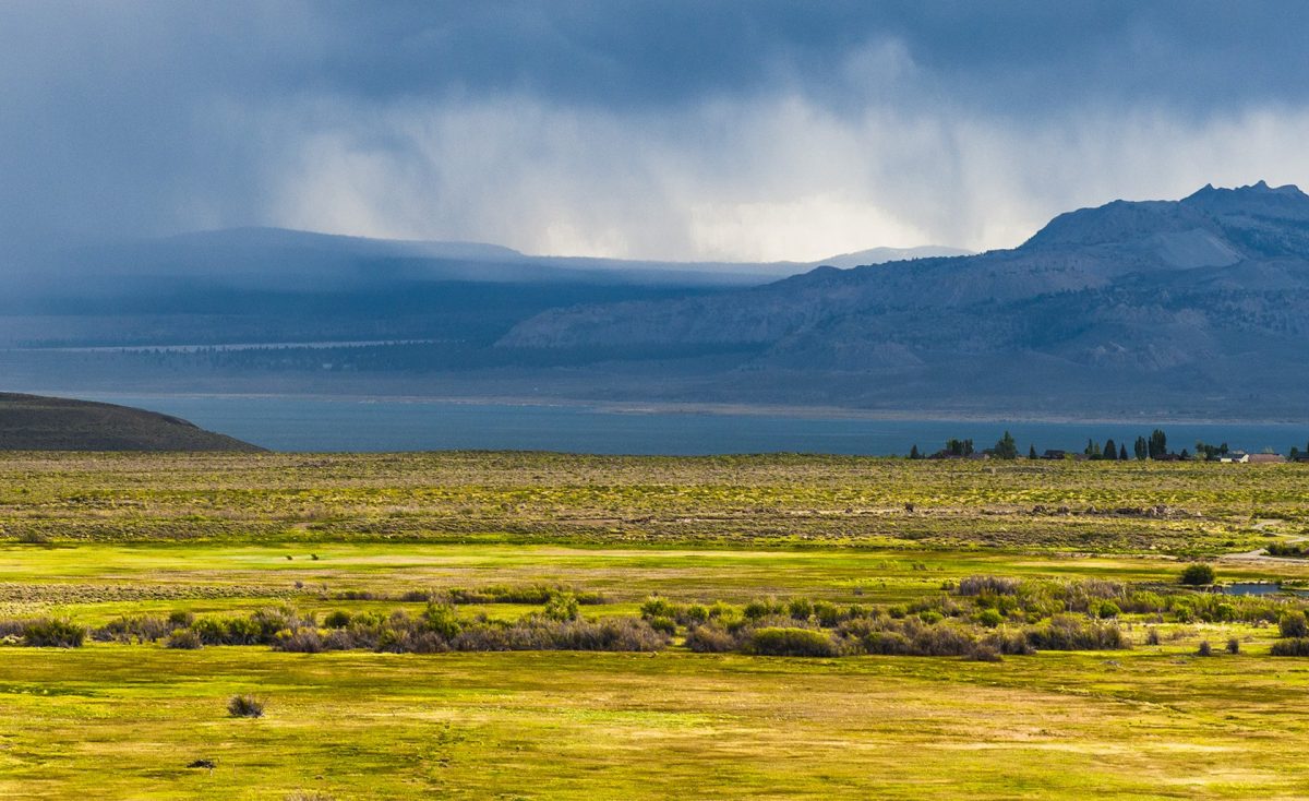 What's Next At Conway Ranch? - Eastern Sierra Land Trust