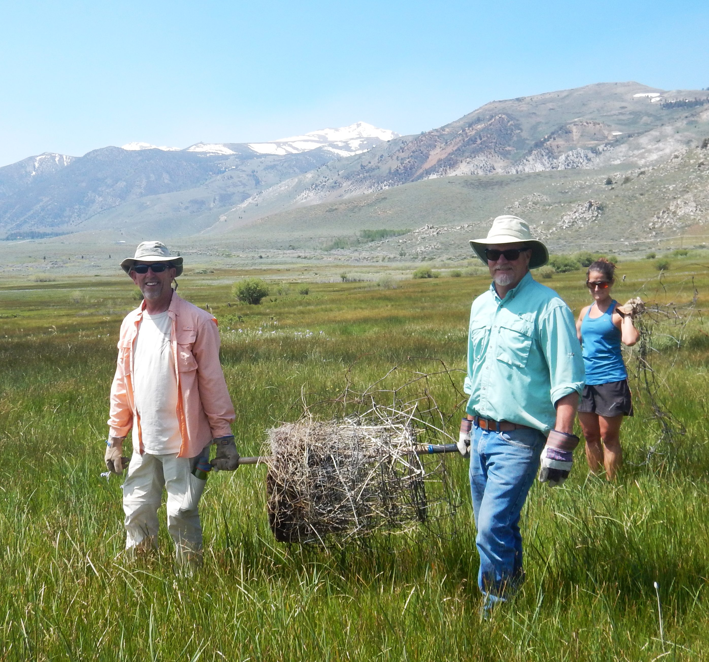 What's Next At Conway Ranch? - Eastern Sierra Land Trust