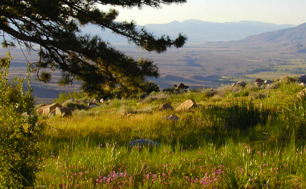 Eastern Sierra Conservation Success Stories - ESLT