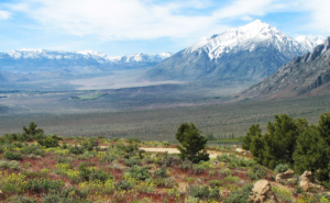 Eastern Sierra Conservation Success Stories - ESLT