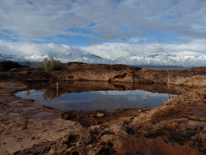 WINNER of our Winter Photography Contest - Eastern Sierra Land Trust