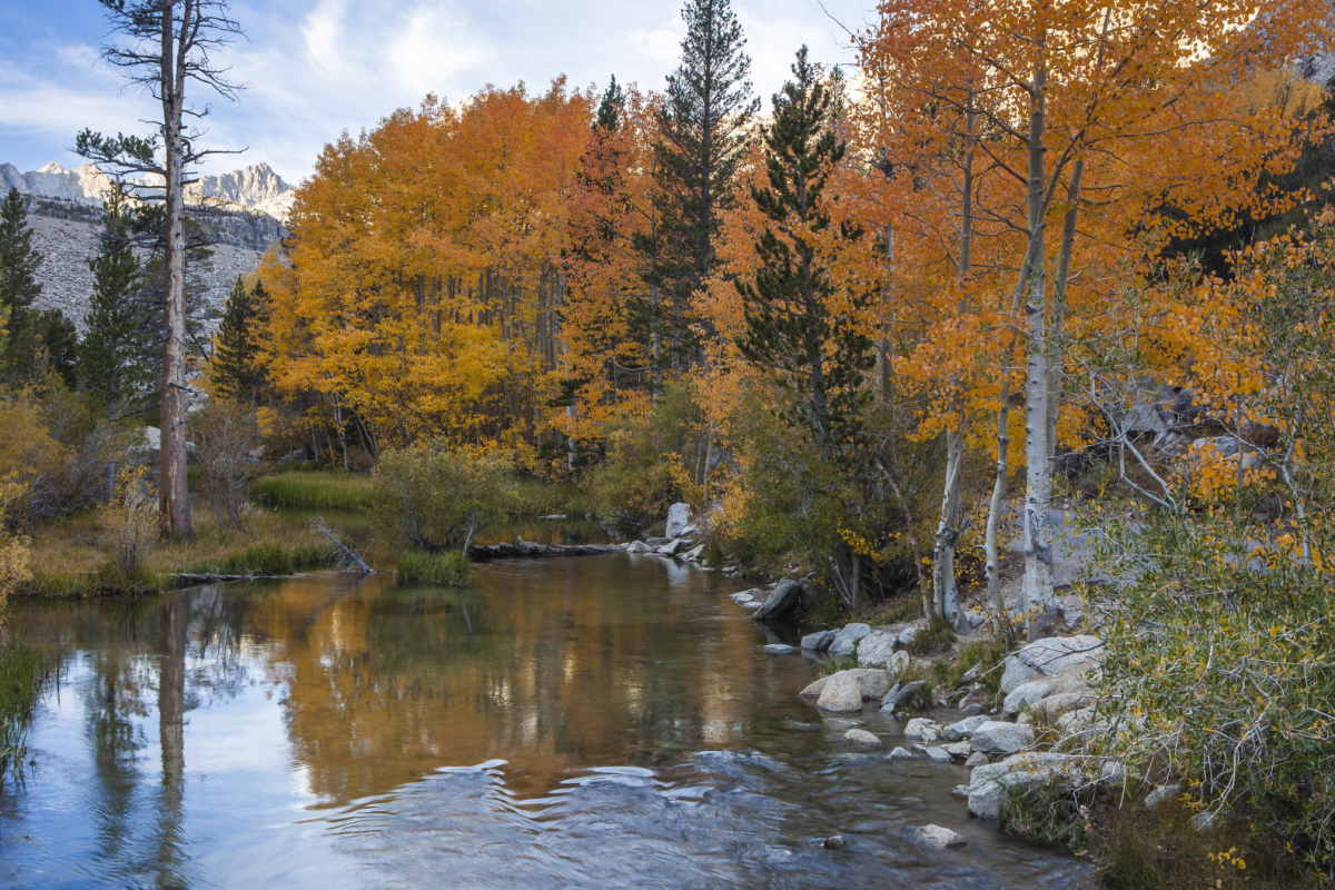 AmazonSmile: A Simple Way to Support ESLT - Eastern Sierra Land Trust