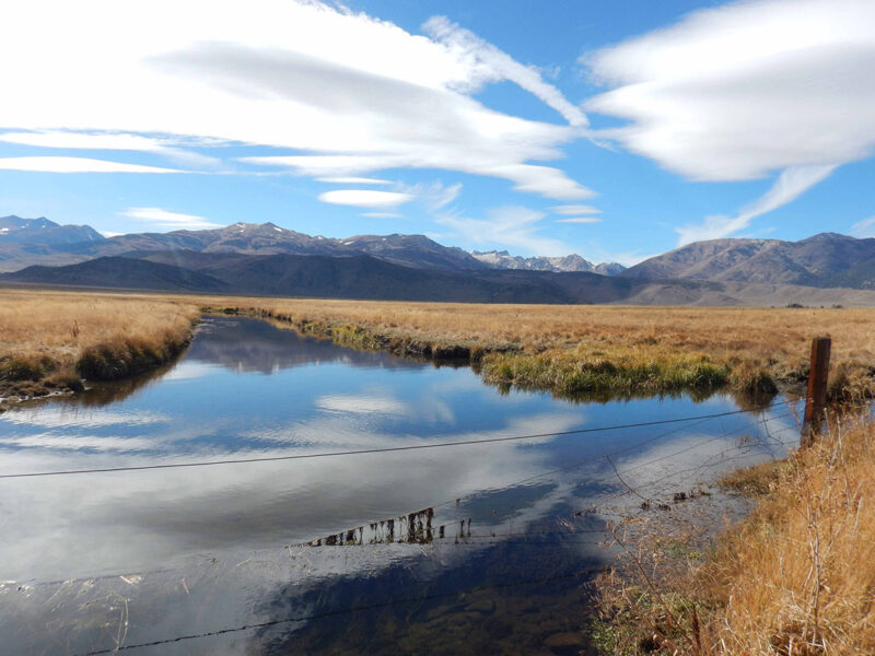 Centennial Point Ranch Conservation Easement - ESLT