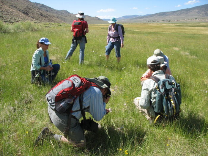 Land Tour at Conway Ranch - Eastern Sierra Land Trust