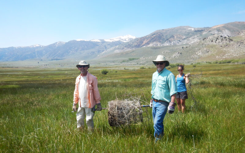 Volunteer Stewardship Day at Conway Ranch - Eastern Sierra Land Trust