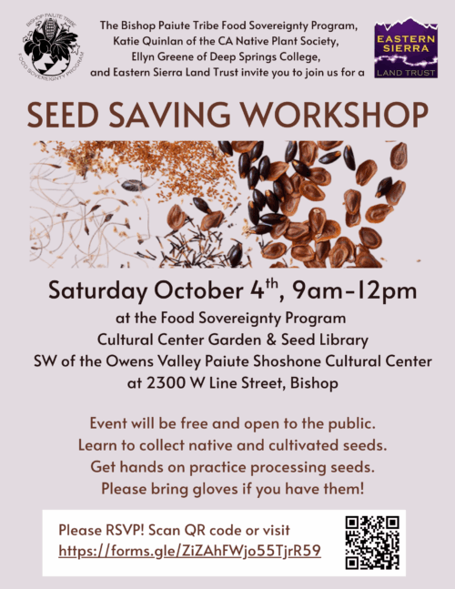 Seed Saving Workshop - Eastern Sierra Land Trust